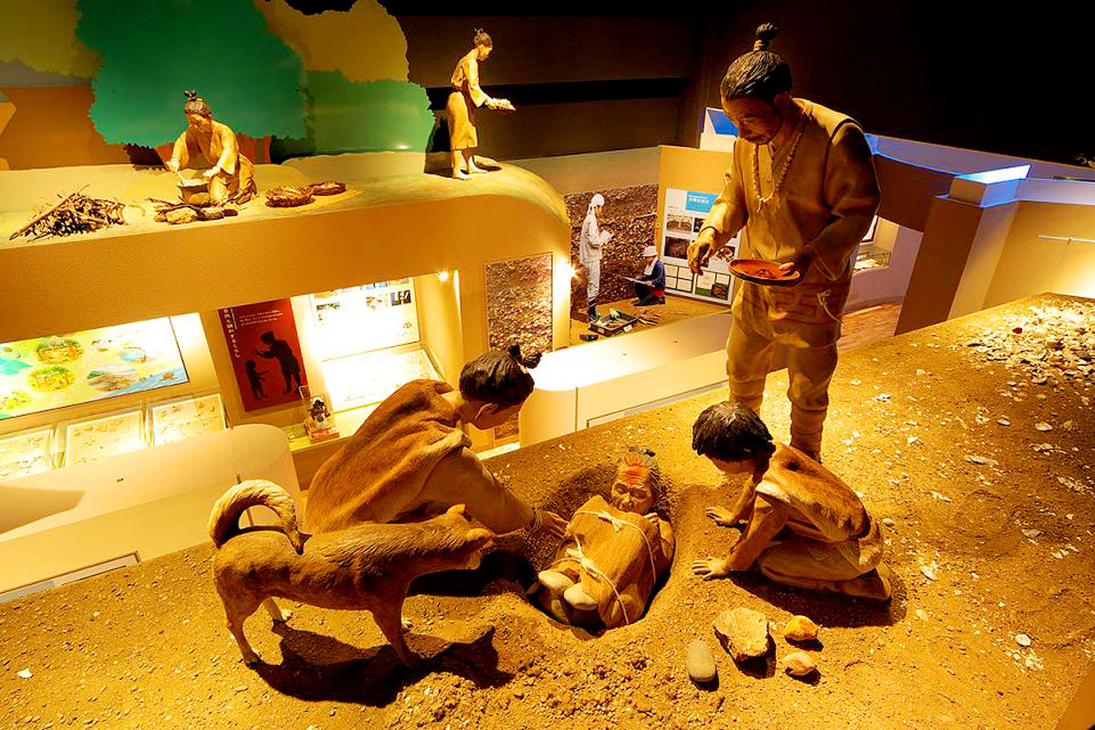 Yoshigo Shell Mound | Welcome to Tahara